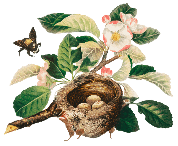 Under A Painted Sky – Stacey H Lee