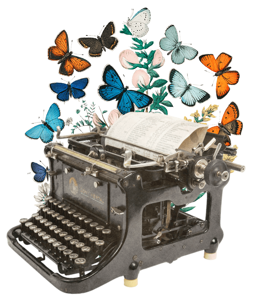 The Downstairs Girl is chosen for One Book One Valley 2023 – Stacey H Lee